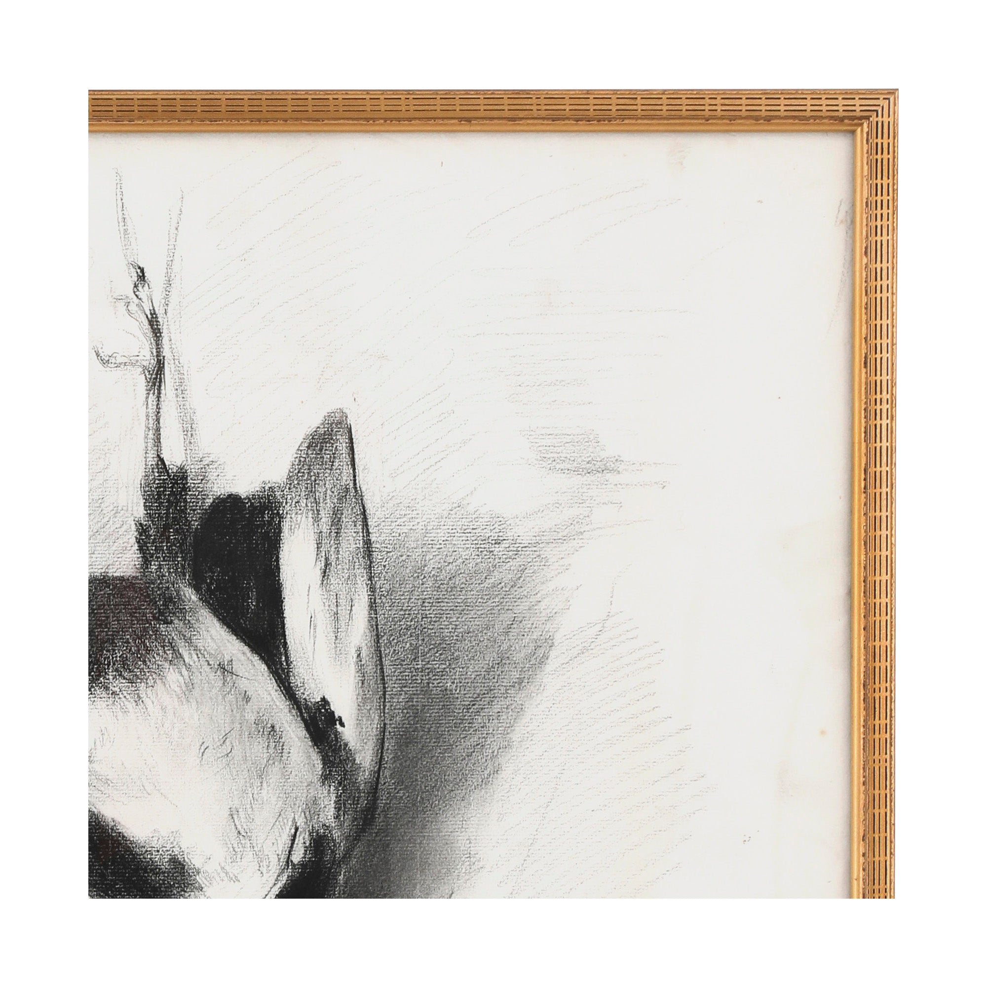 Antique Framed Bird Study I & Jayson Home