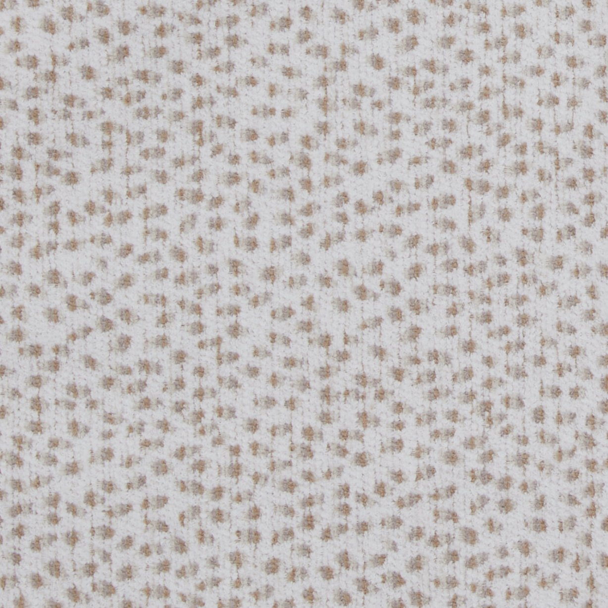 Austin Shell & Jayson Home