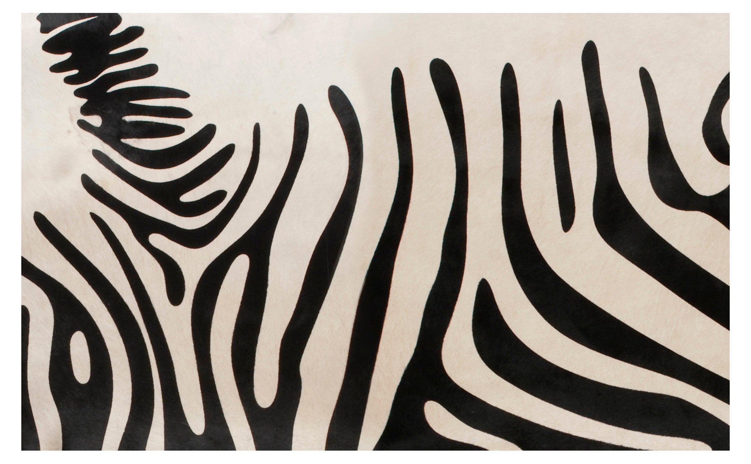 Faux Zebra Hide & Jayson Home