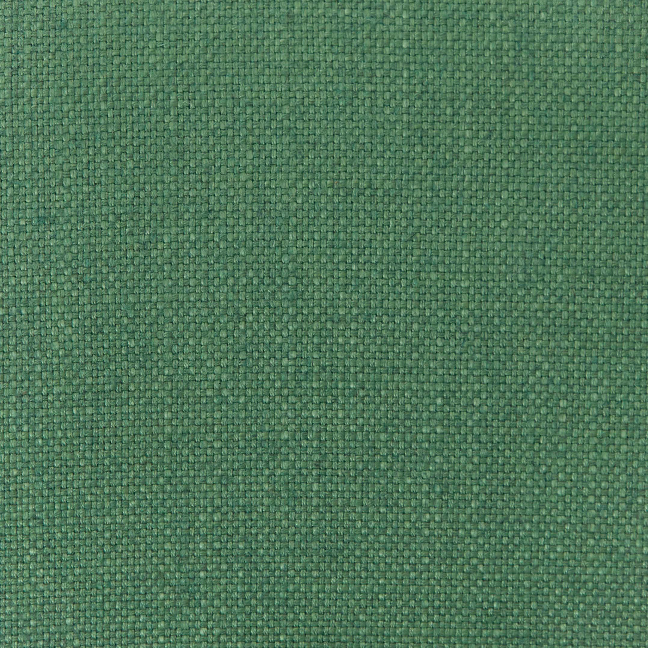 Monarch Lizard & Jayson Home