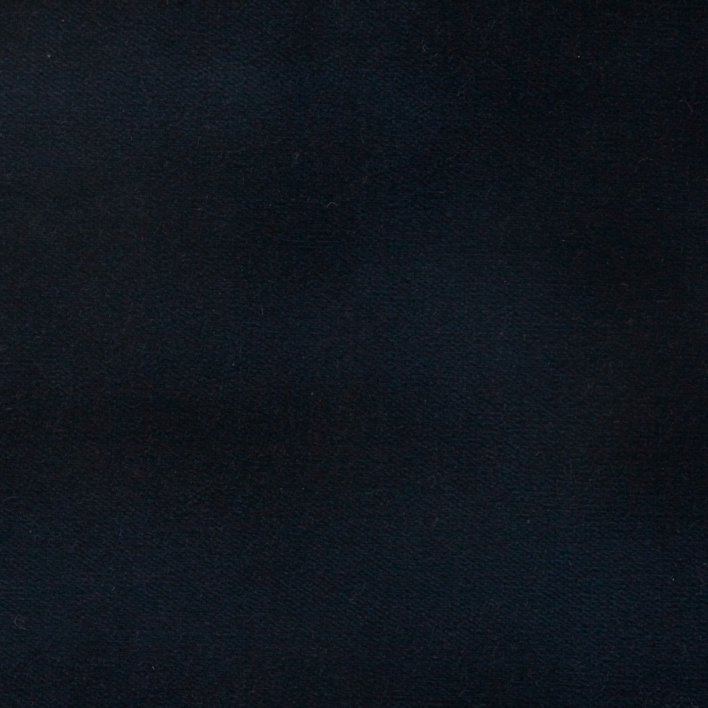 Vance Indigo & Jayson Home